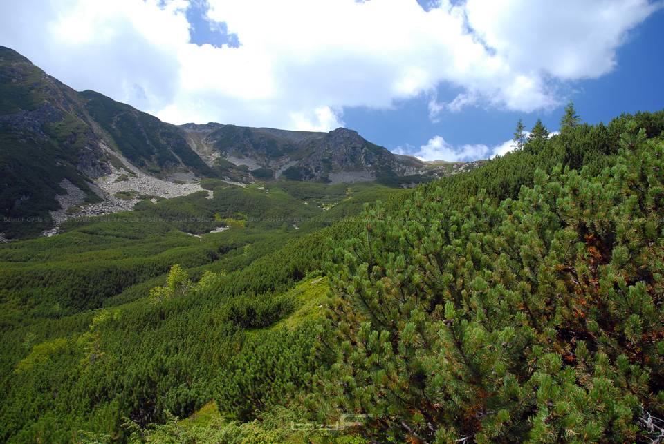 Jézer-hegység - Nagy-Jézer-csúcs | Kéknapló